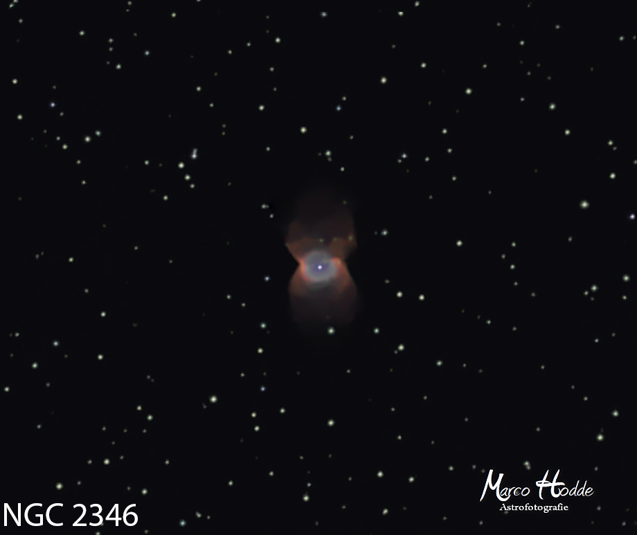 NGC 2346 - Spektrum der Wissenschaft